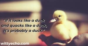 Donald Duck Quotes: From Wise to Witty- Witty Echo