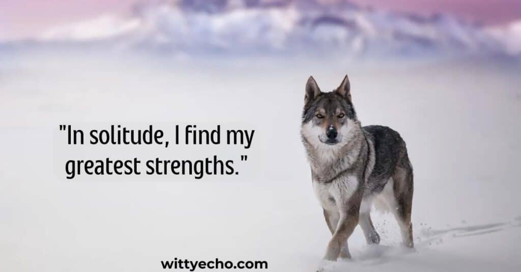 150 Best Quotes About Lone Wolves 🐺 - Witty Echo